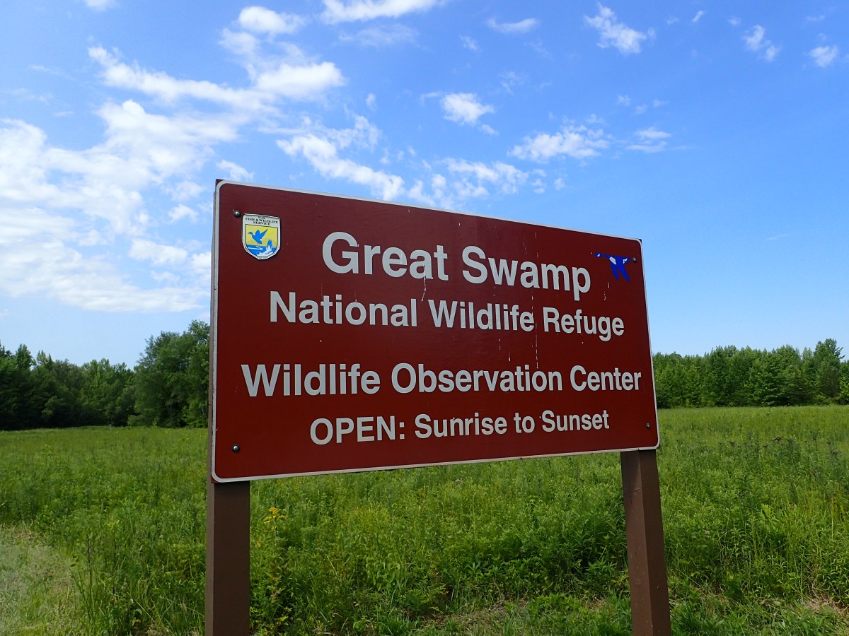 Great Swamp National Wildlife Refuge, NJ 8-1-15 – Operation Hiking